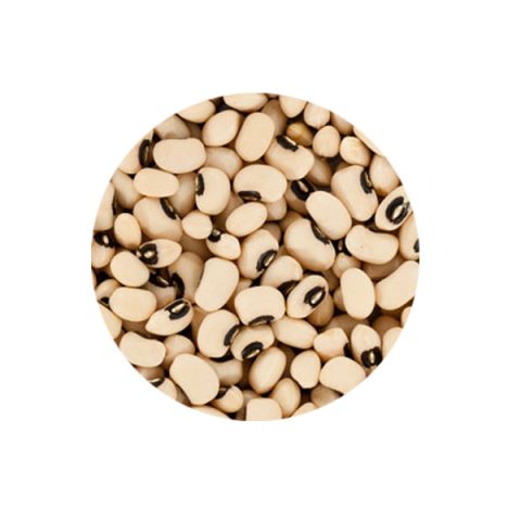 Frijolito Anconi Fresco (1lb) - Todo Fresco RD