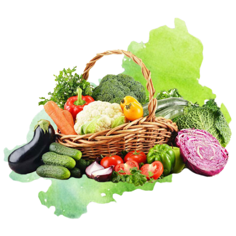 Productos - Todo Fresco RD